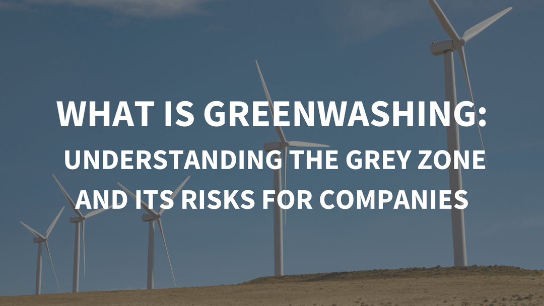 What is Greenwashing? What are its Risks for Companies?